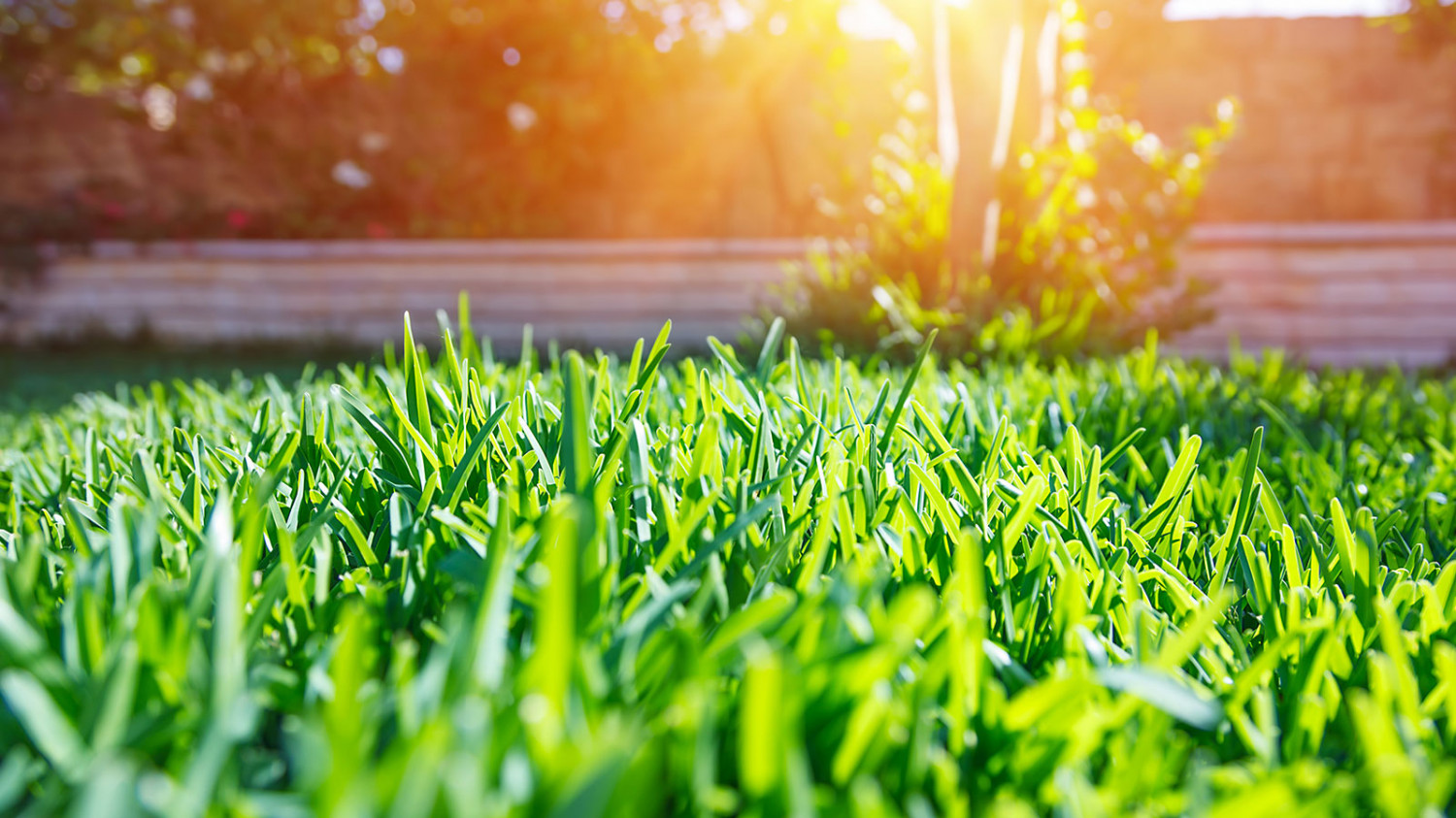 Lawn Mowing Aeration Services Colonie NY Asprion Landscape LLC Lawn Mowing Aeration Services Colonie NY Asprion Landscape LLC